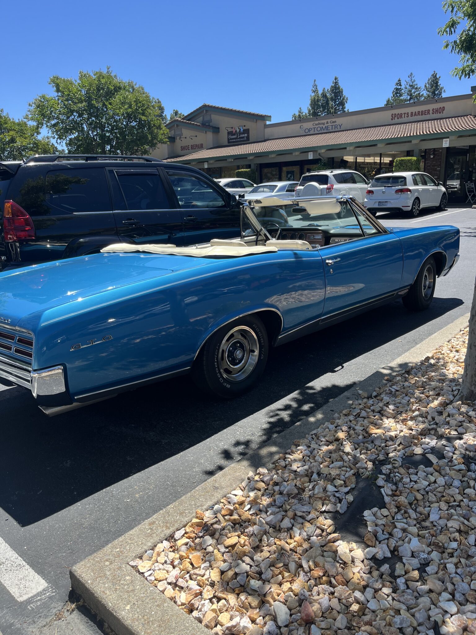 Classic Car Buyer's Guide: How To Preserve Automotive History ...